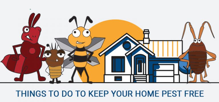 6 Ultimate Ways to Keep Your Home Pest Free | Pest Free Home