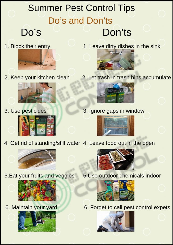 Summer Pest Control Tips - Do's and Don'ts | Get pest Control