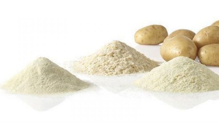 How to Get Rid of Rats and Mice: 16 Best Home Remedies