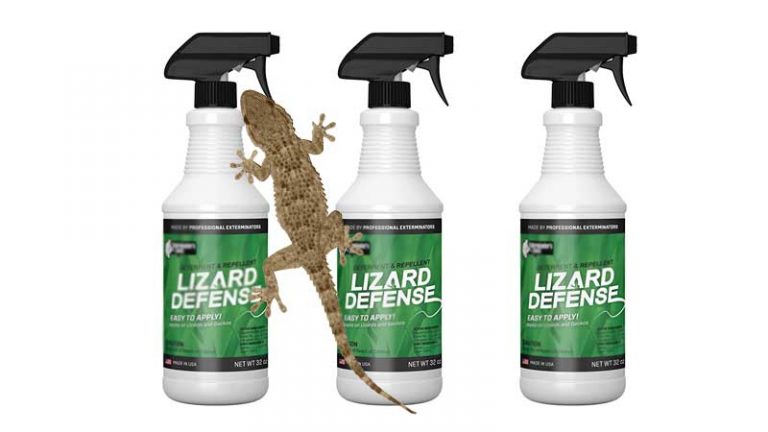 25+ Ways to Get Rid of Lizards at Home Naturally and Permanently
