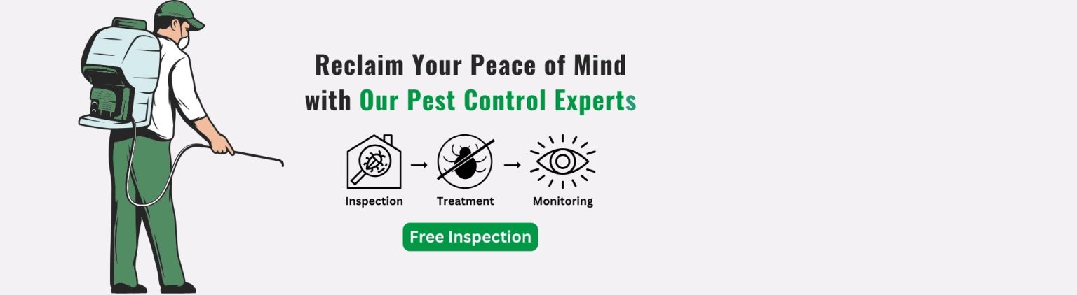 About Us: Know Your Booking Portal, Get Pest Control