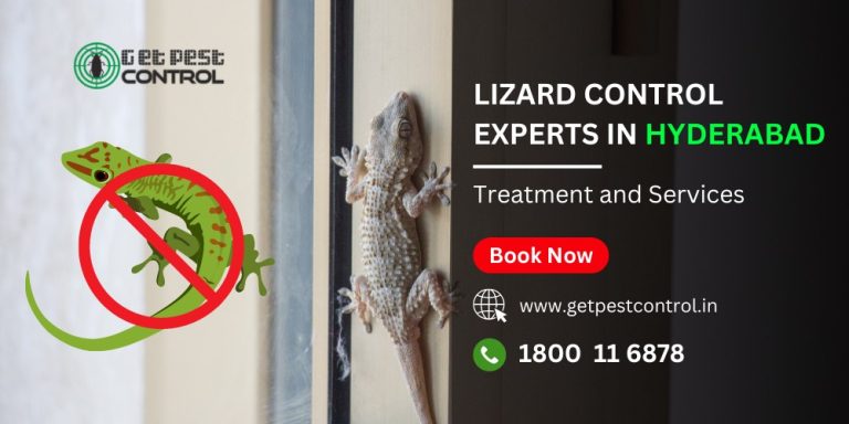 Lizard Control in Hyderabad, Starting at Rs. 700, Free Inspection