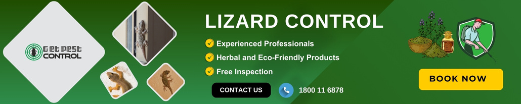 Lizard Control in Kolkata Starts at Rs. 700, Free Home Inspection