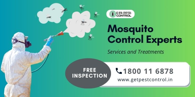 Mosquito Control Services, Mosquito Control Experts Near You