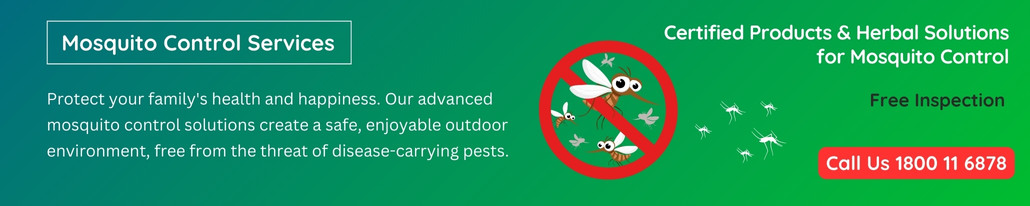 Mosquito Control Services, Mosquito Control Experts Near You