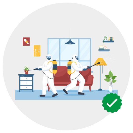 Pest Control Services | Residential & Local Pest Management